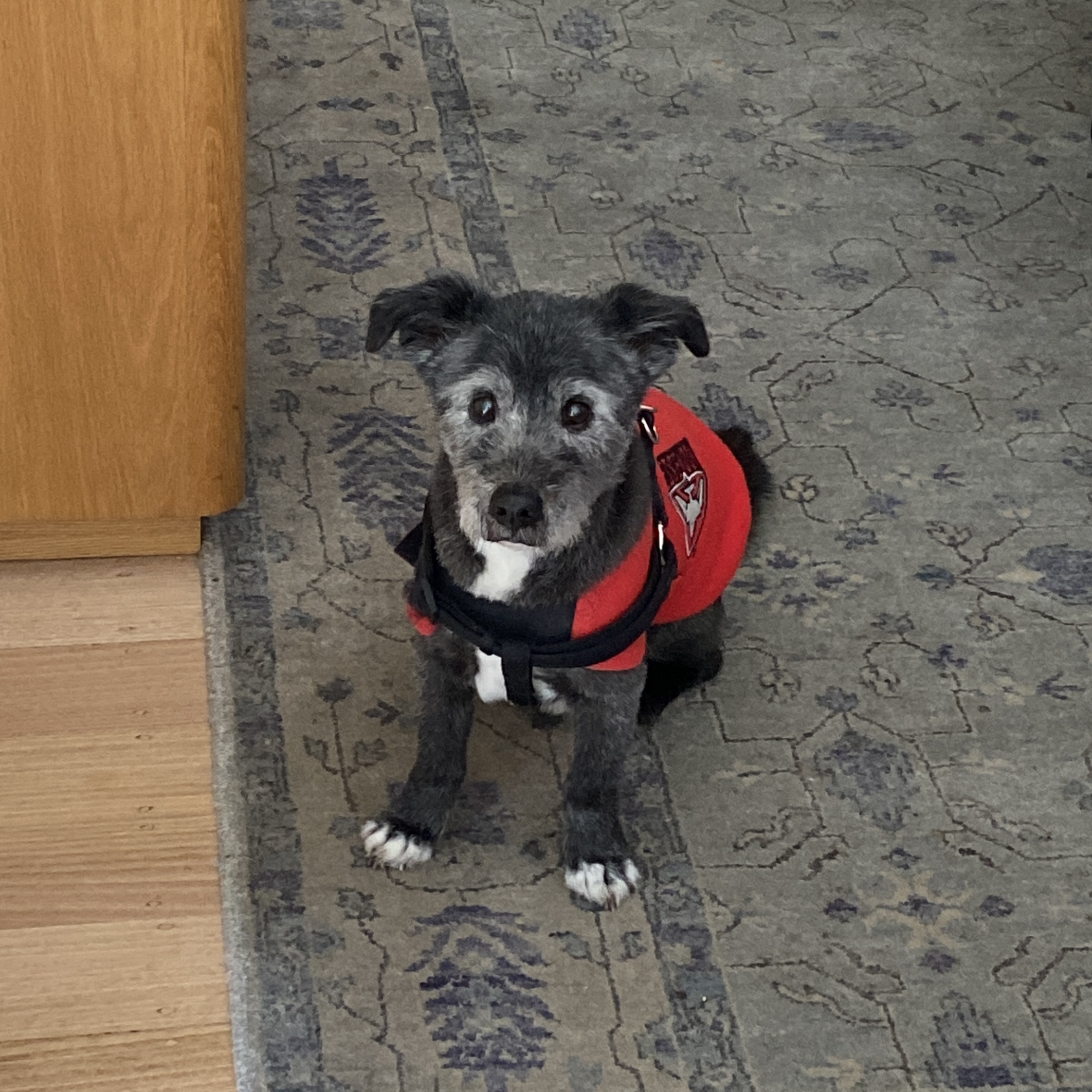 Substack | Michael Gawenda